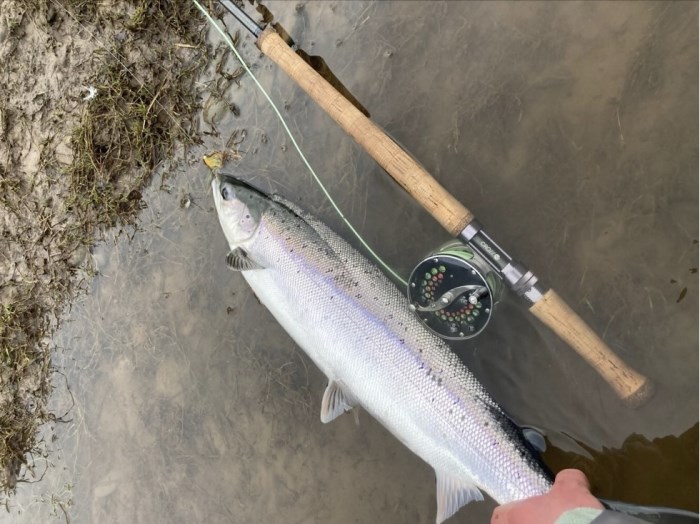 Helmsdale Tackle Fishing Report