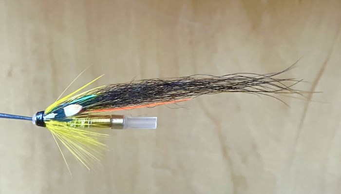 Helmsdale Tackle Fishing Report